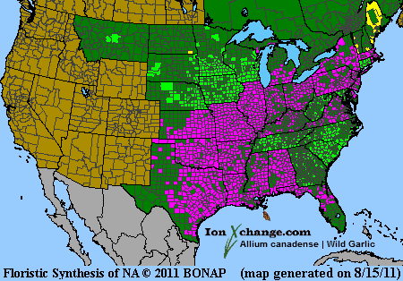 ALLIUM CANADENSE - Wild Garlic Range Map