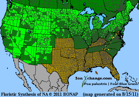 POA PALUSTRUS | Fowl Blue Grass